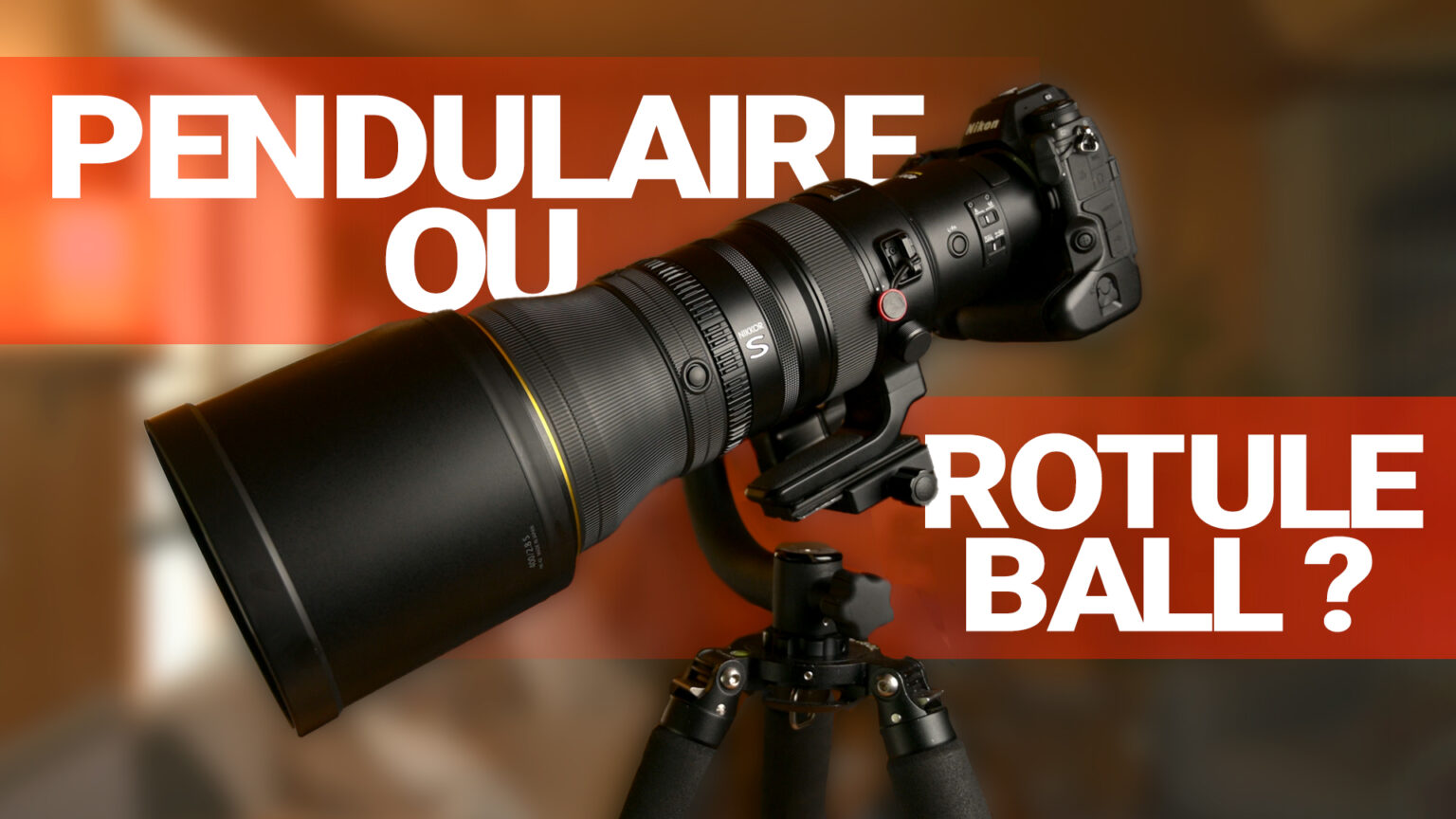Guide des meilleures rotules pour la photo animalière