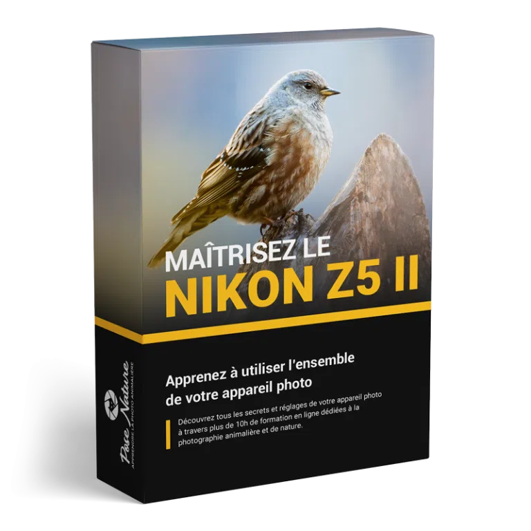 Luminar Neo avis : le logiciel idéal pour simplifier vos photographies